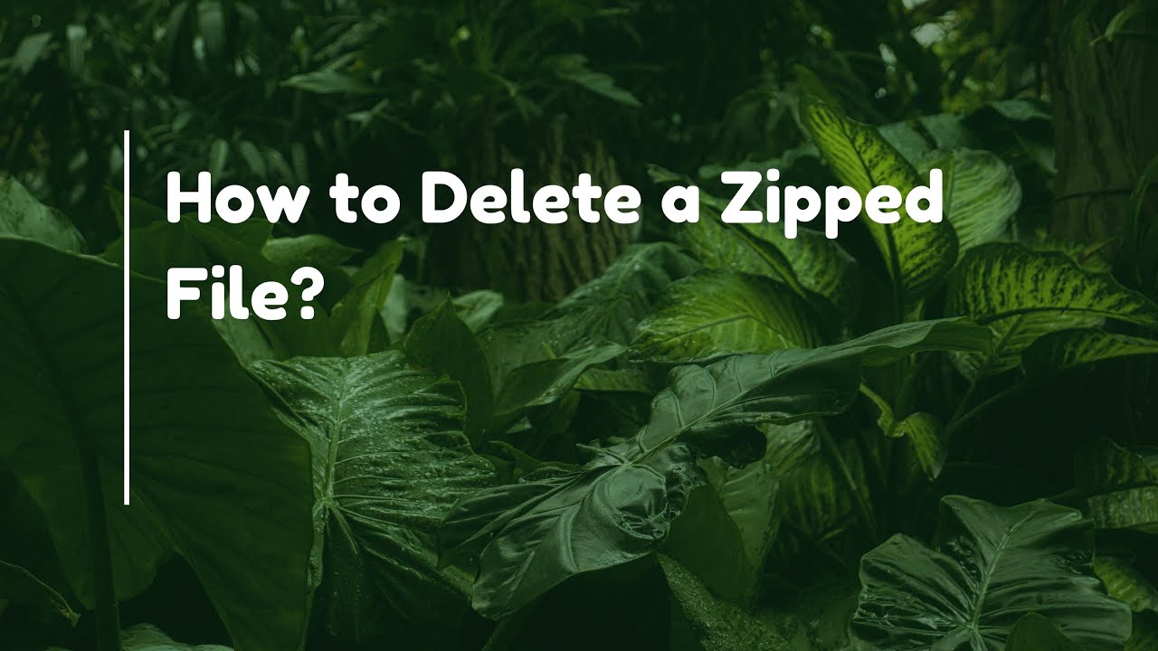 How To Delete A Zipped File YouTube How To Delete A Zipped File YouTube