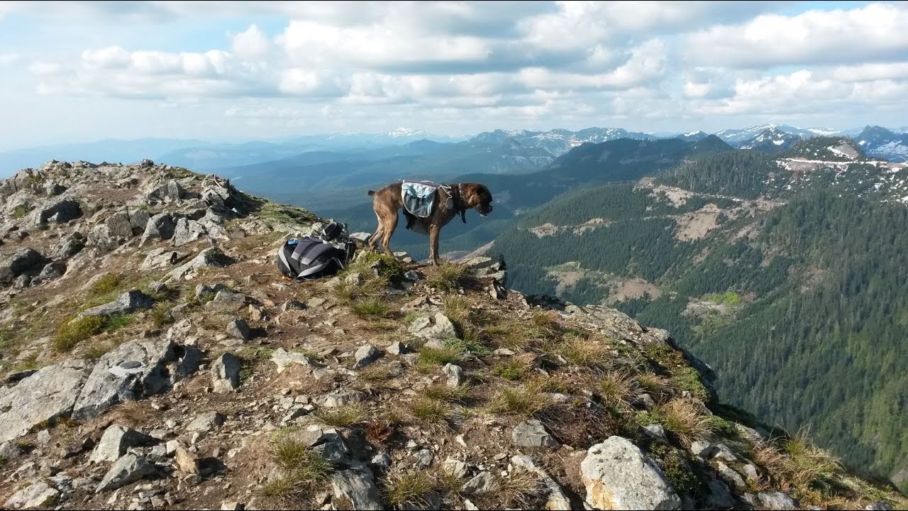 Mount Teneriffe (Kamikaze Falls) Hiking Trail - YouTube