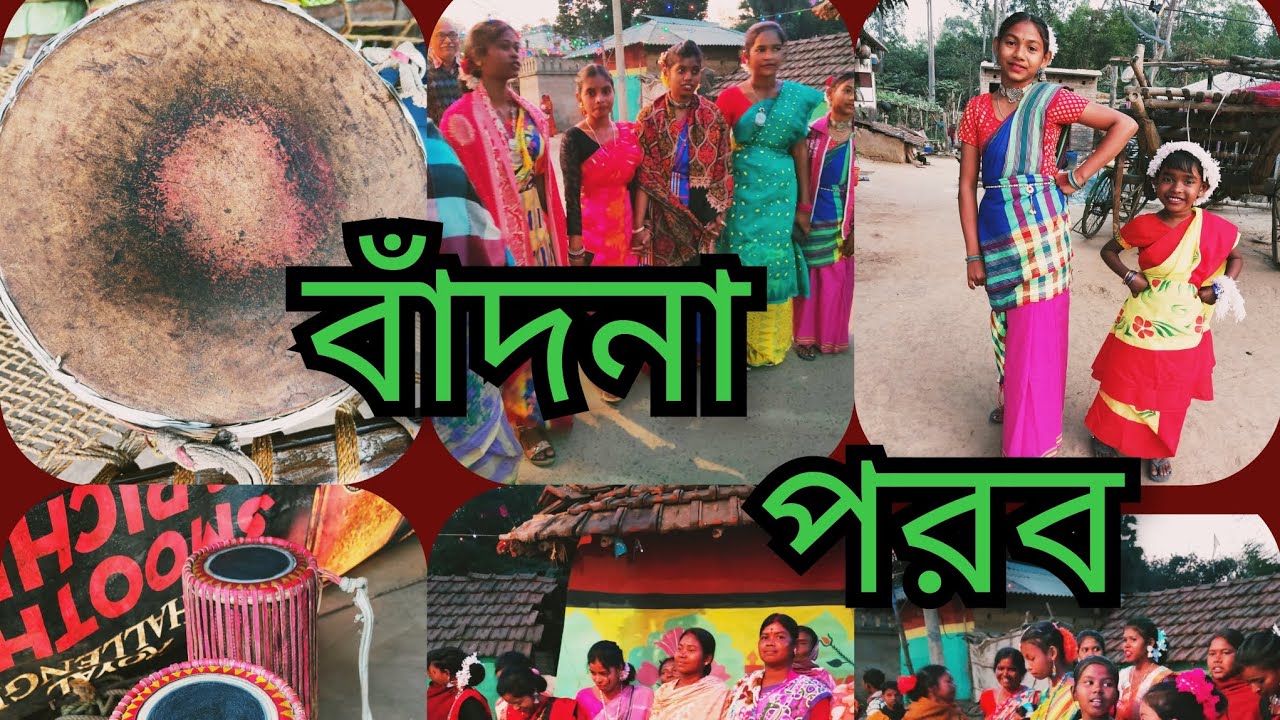 বাঁদনা পরব | আদিবাসীদের বাঁদনা পরব আসলে কি ? গোপালপুর পঞ্চায়েত | Badna ...