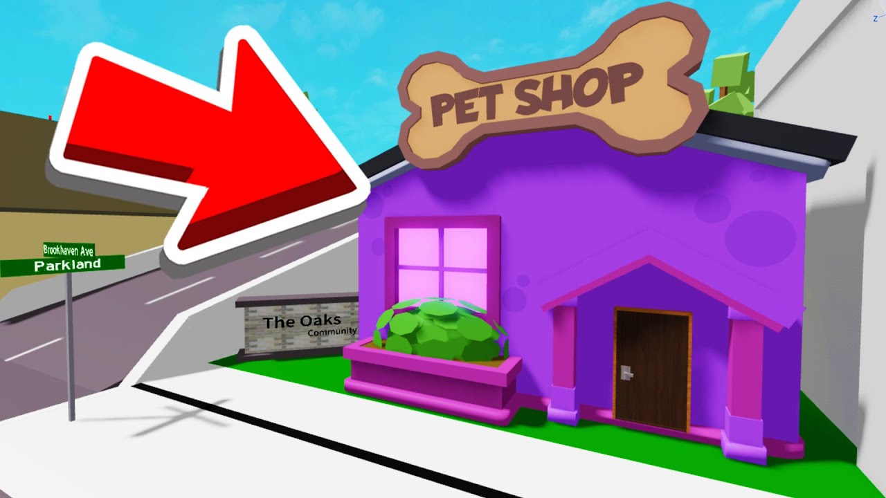 Roblox Brookhaven 🏡RP VETERINARIAN & PET SHOP UPDATE COMING?! - YouTube