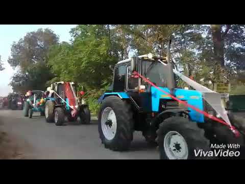 Traktorlarla Masallı toy karteci