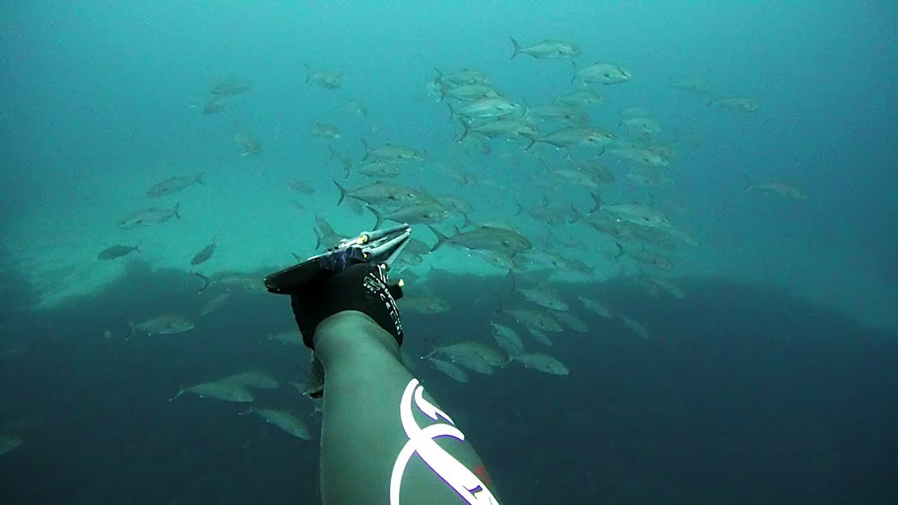 Ψαροντούφεκο ΕΛΛΑΔΑ | Spearfishing the Aegean 🇬🇷 - YouTube