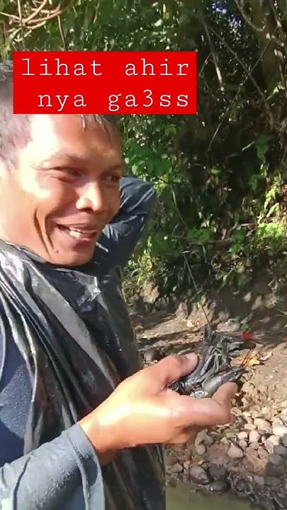 nágkep udang lofter.. - YouTube