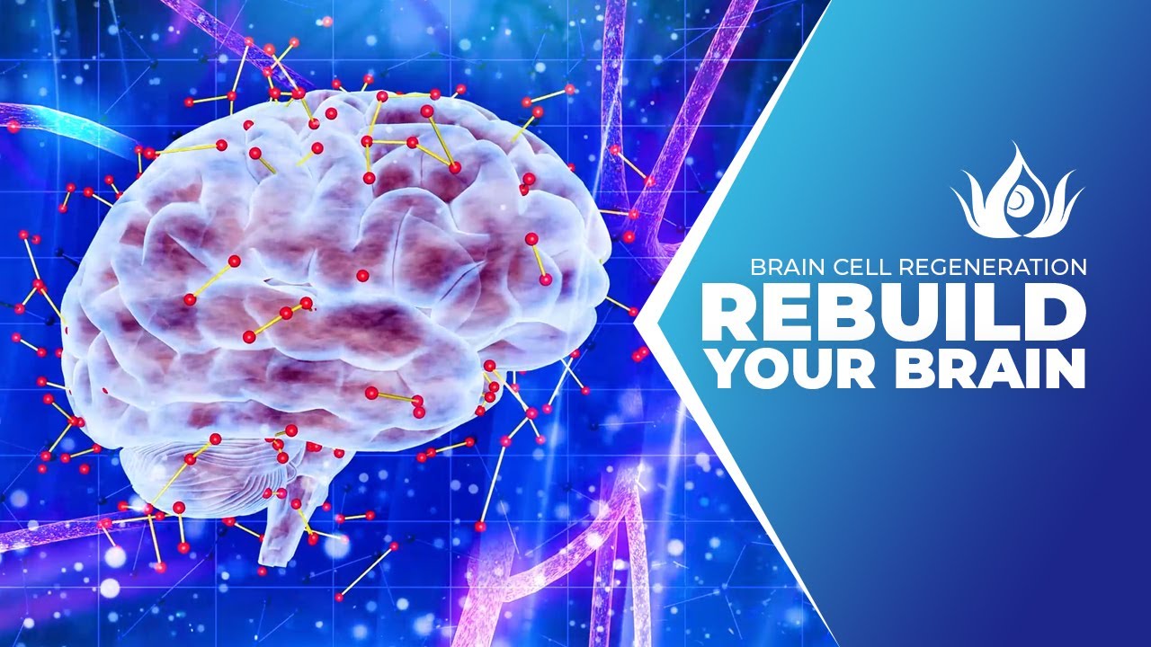 Rebuild Your Brain: Brain Healing Frequency | Brain Cell Regeneration ...