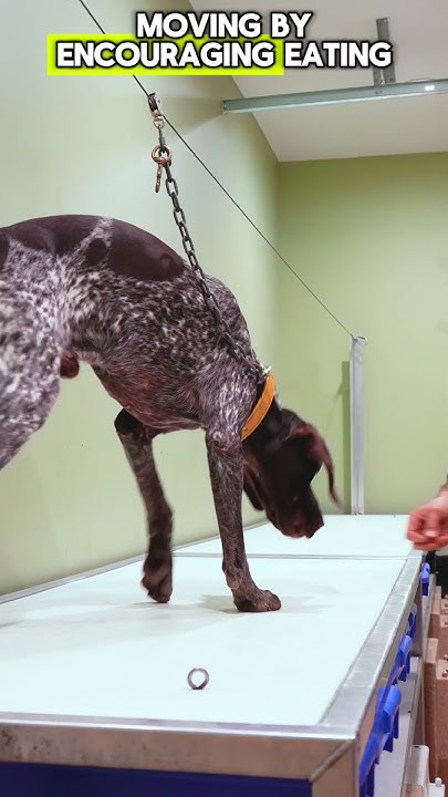 Trained Retrieve - Step 1 - Building Confidence On The Training Table - YouTube