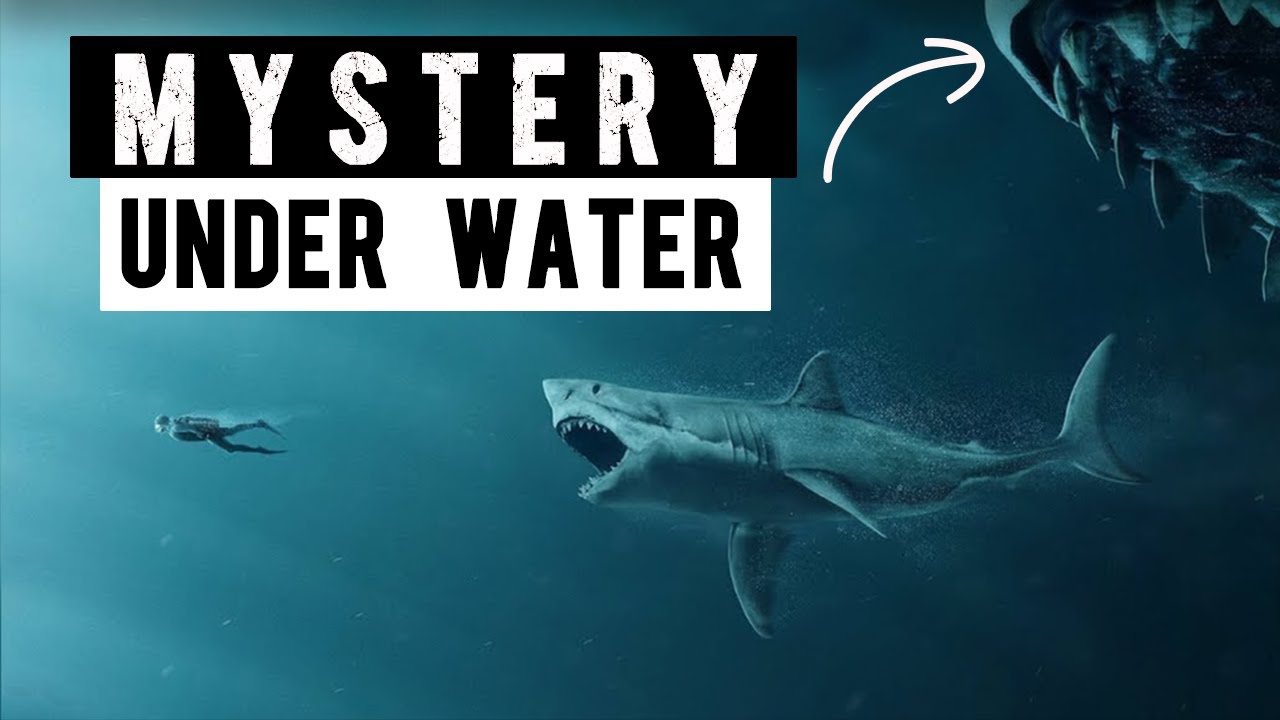 World's largest Shark Megalodon still alive? | Mystery of Megalodon ...