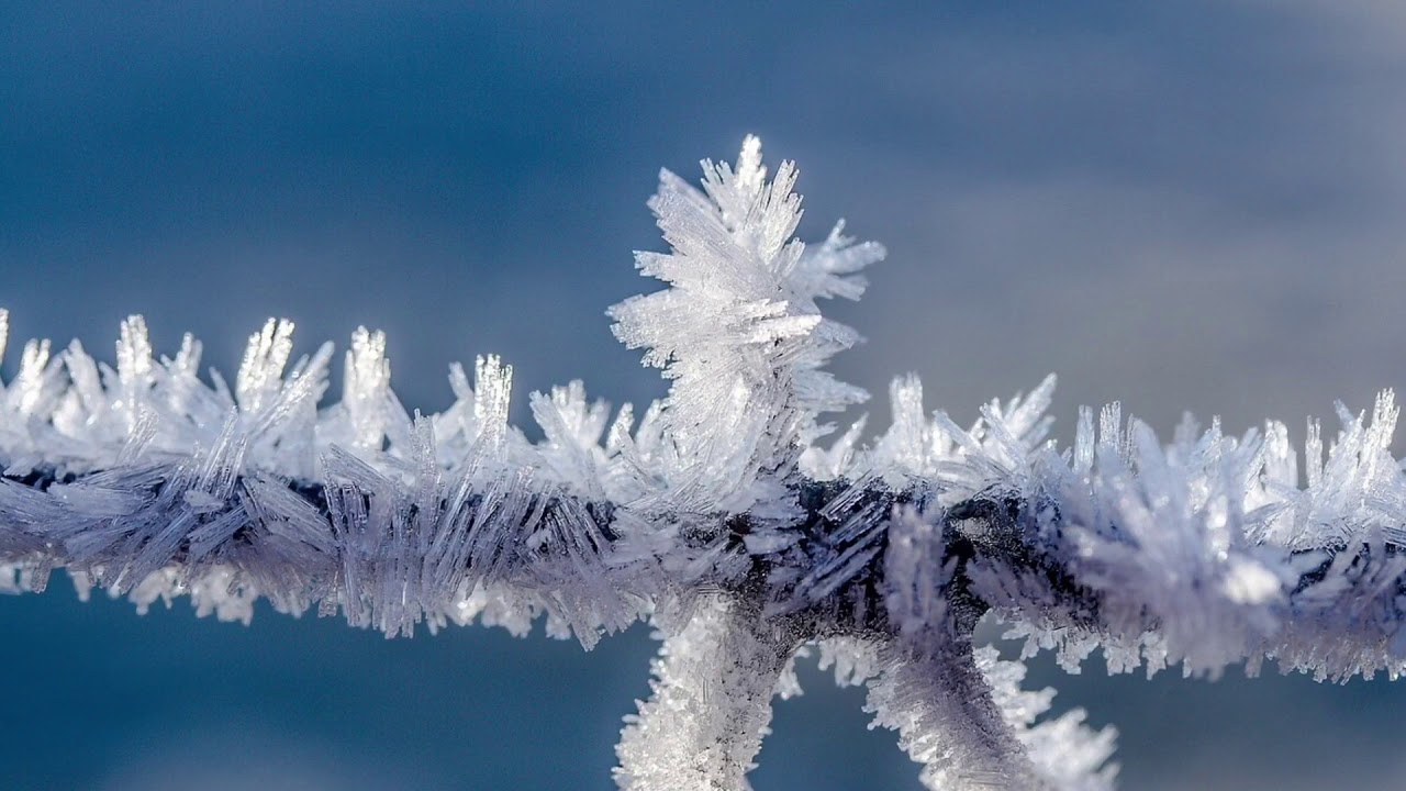 Poetry Performed Episode 020 - On Seeing a Tuft of Snowdrops in a Storm ...