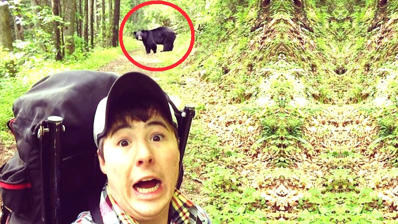 15 Most Dangerous Selfies Ever Taken Youtube