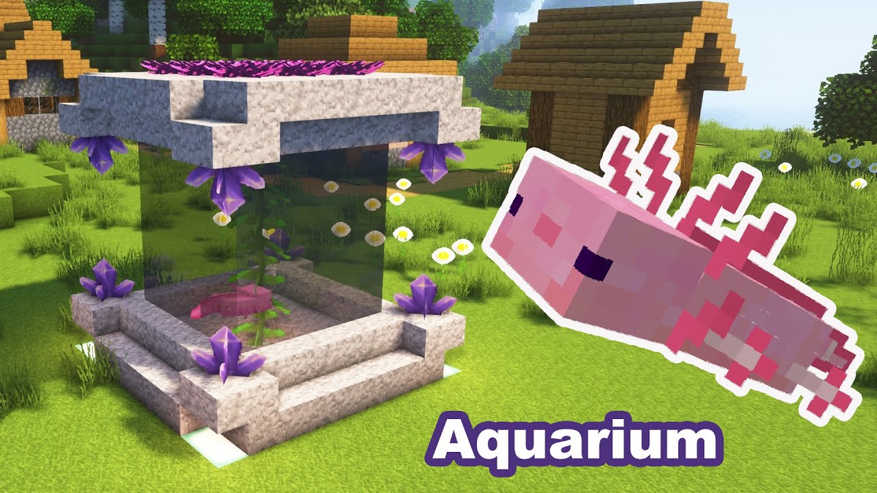 Cómo hacer un Acuario o Pecera para AJOLOTE en Minecraft - YouTube