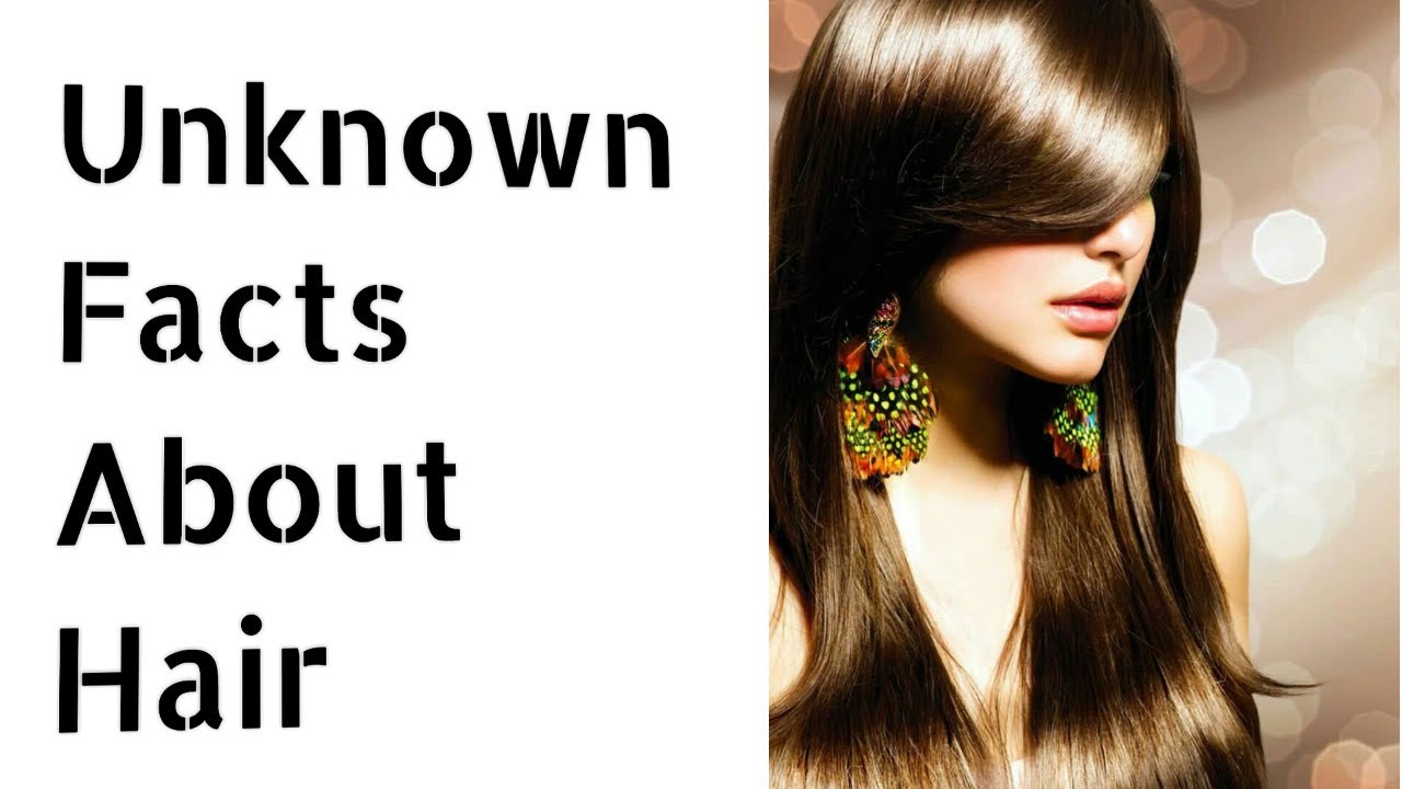 Facts about hair | Unknown facts about hair | Interesting facts about ...