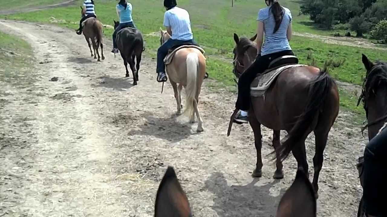 horse riding in Pittsburgh - YouTube