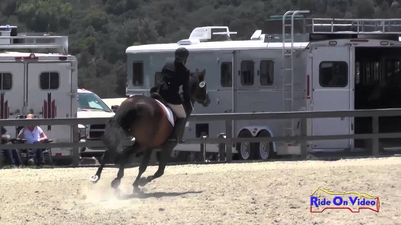 298S Cathleen Stark on Sir Editor Senior Novice Amateur Show Jumping ...