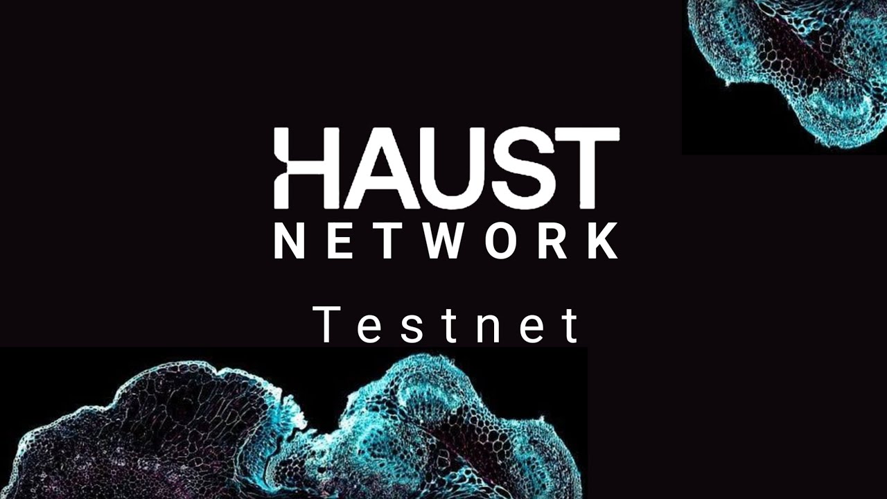 Haust Network Testnet Guide || Haust Testnet V2 || Potential Airdrop # ...