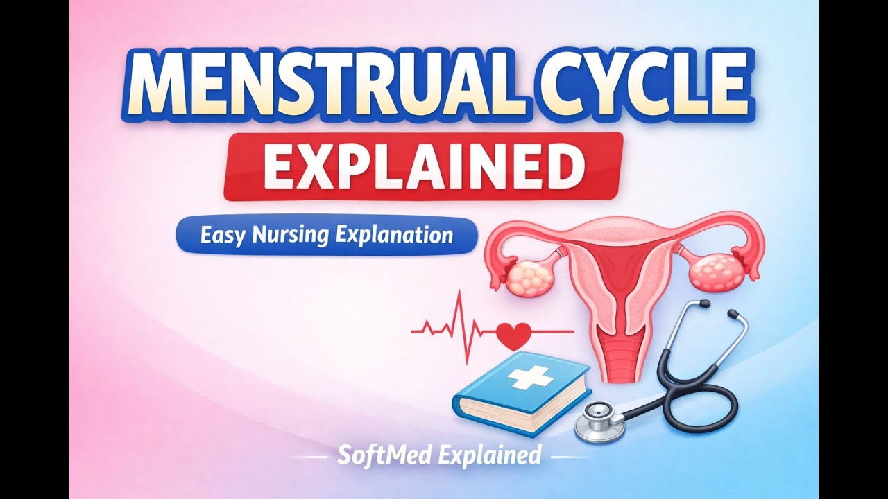 Menstrual Cycle Made Easy | Clear & Simple Explanation - YouTube