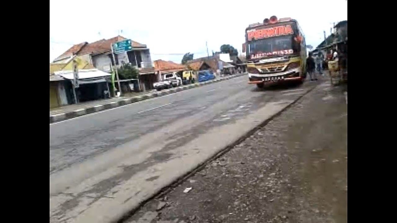 Bus Pantura Luragung Jaya Perwira Feat Setia Negara & Wijaya Trans ...