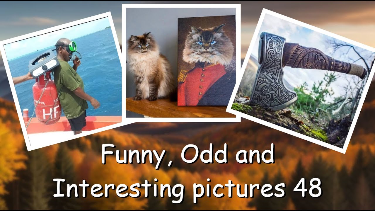 Funny, Odd, Interesting Pictures Video 48 - YouTube