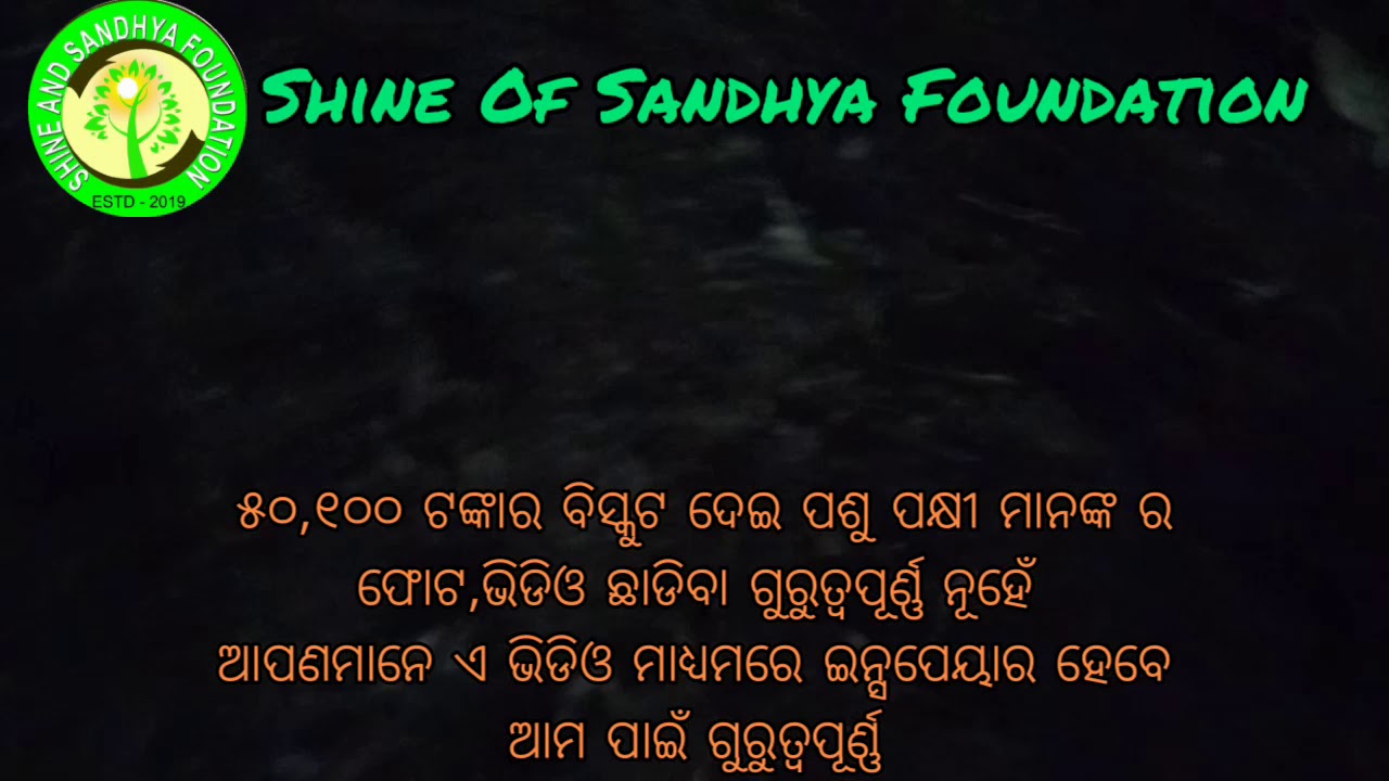 Shine of Sandhya Foundation - YouTube