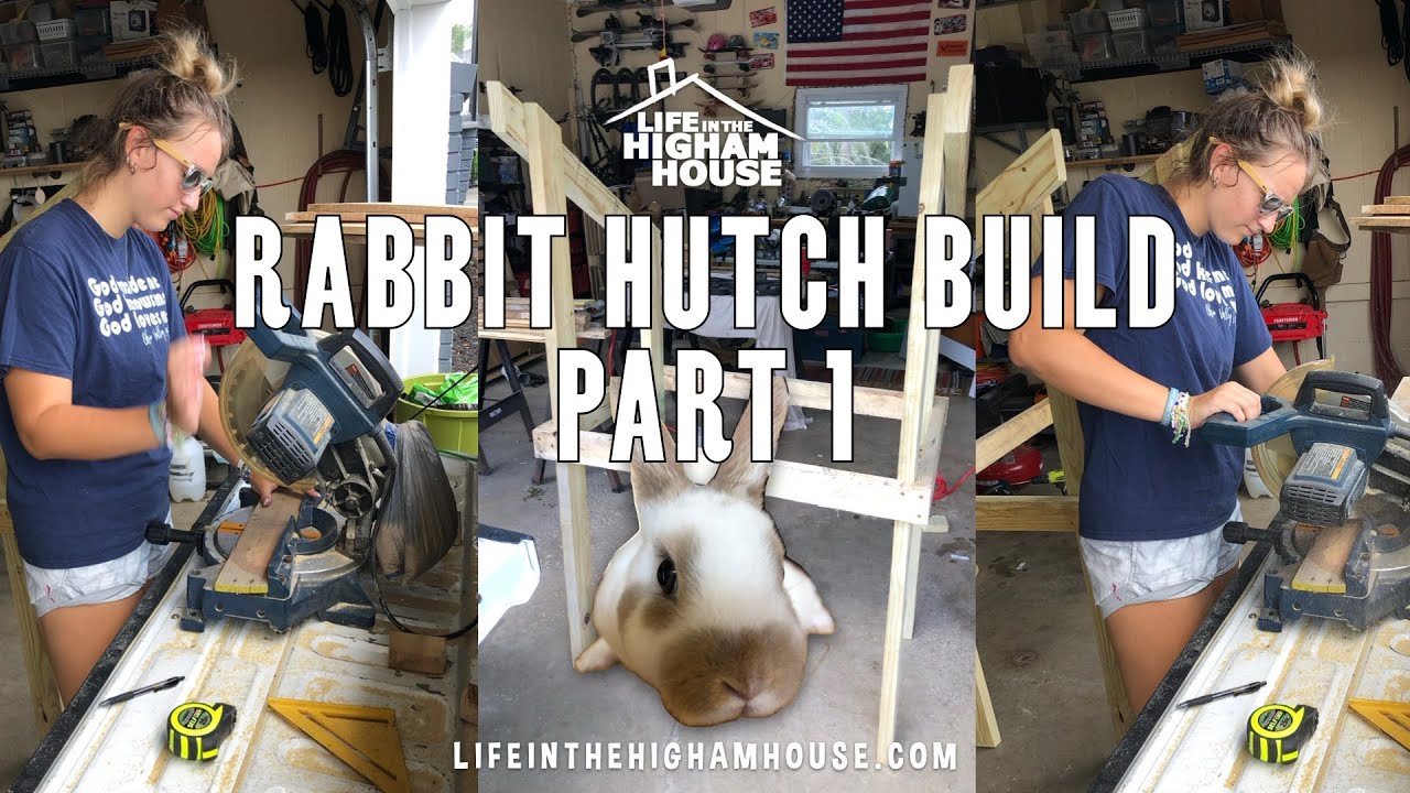 Rabbit Hutch Build Part 1 - YouTube