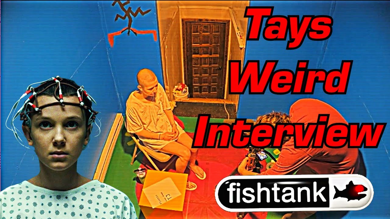 Tayleighs Weird Stranger Things Interview FishTank Season 2 YouTube tayleighs-weird-stranger-things-interview-fishtank-season-2-youtube