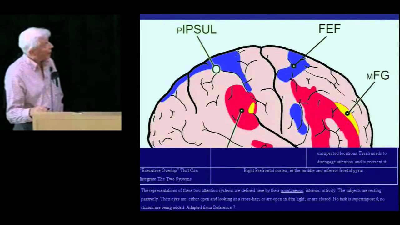 Zen and the Brain - YouTube