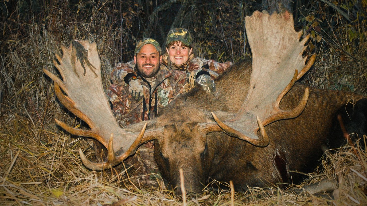 Classic Archery Moose Hunts | 5 Bull Moose in 10 Minutes - YouTube