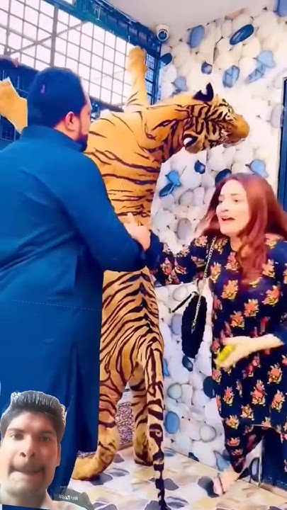 Lion Ha Cat Ni😎#lion mian saqib#ytshorts #tiger #animals#petlover - YouTube