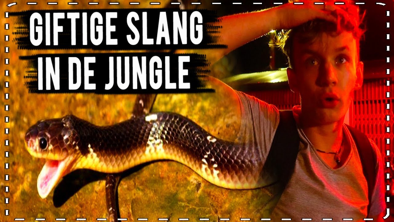GIFTIGE SLANGEN in GEVAARLIJKE JUNGLE + WE WETEN DE WEG NIET MEER ...