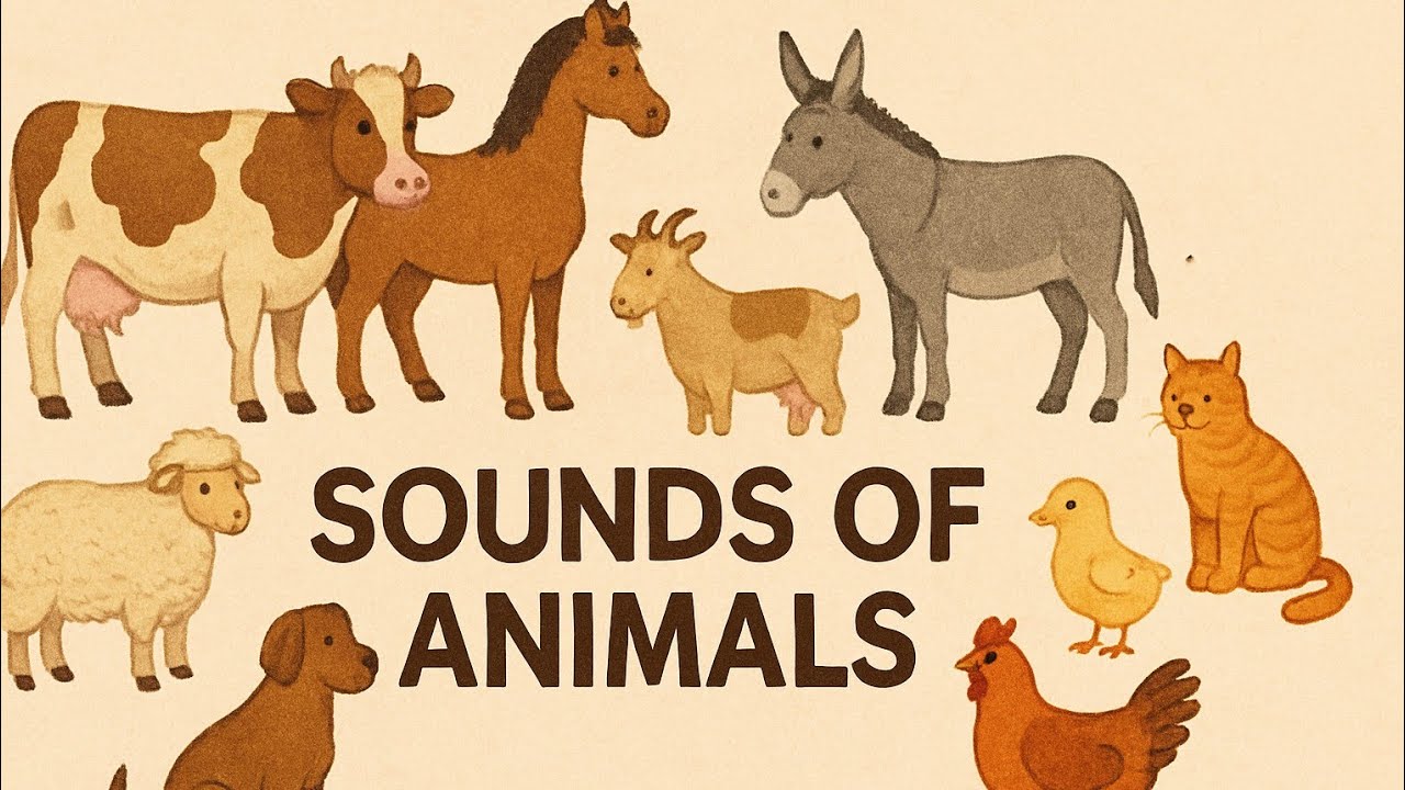 Sounds of Farm Animals for Kids | Domestic Animals - YouTube