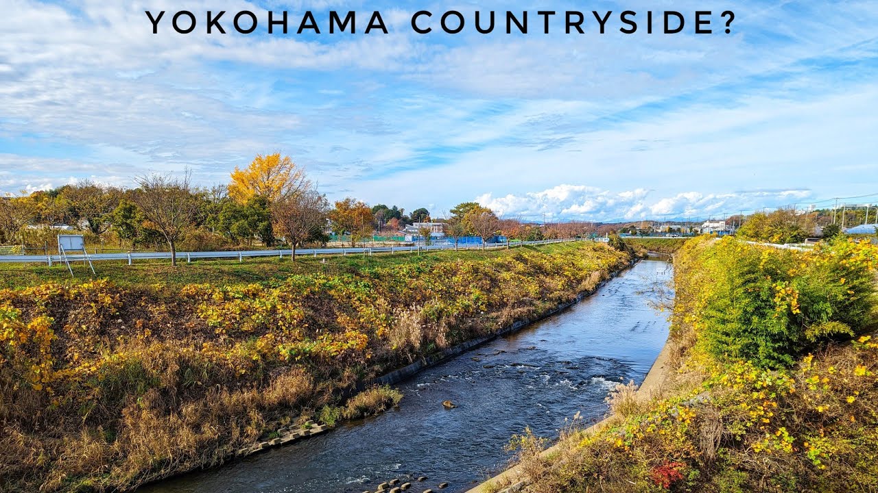 Autumn Japan Walk - Jikecho - Yokohama Countryside 🍁 An Old Favourite ...