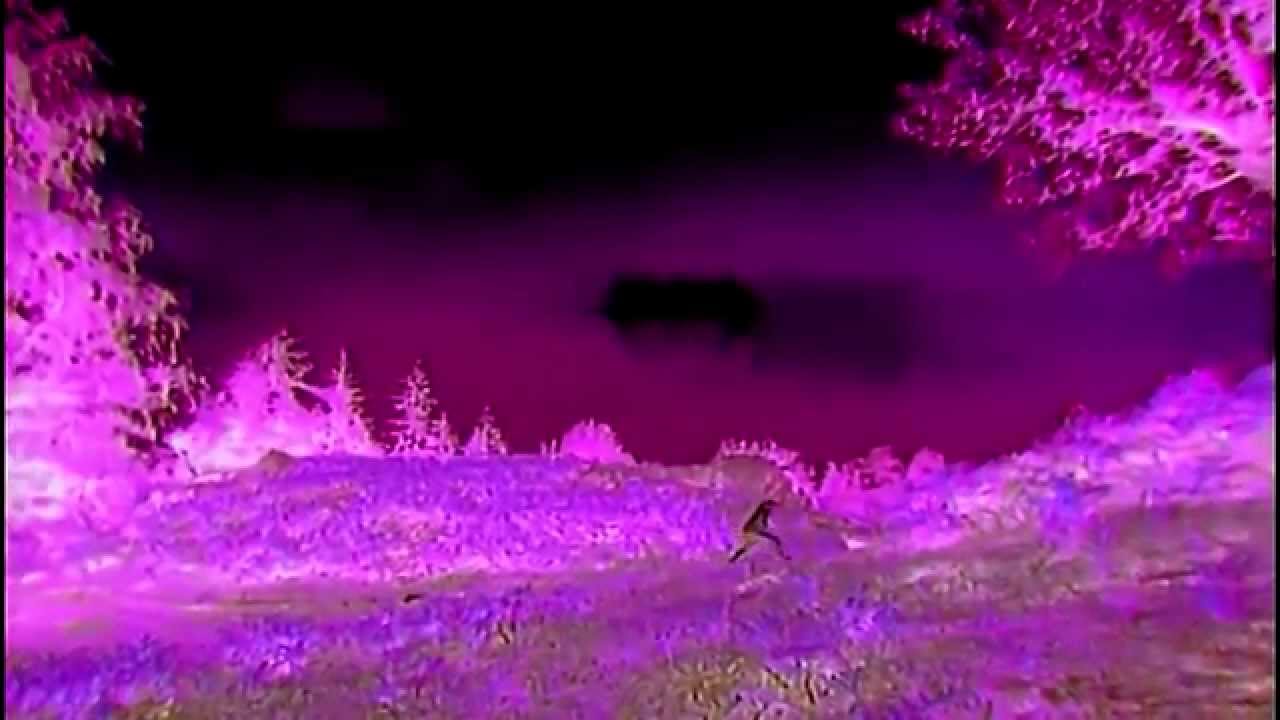 The Shamen - LSI - YouTube