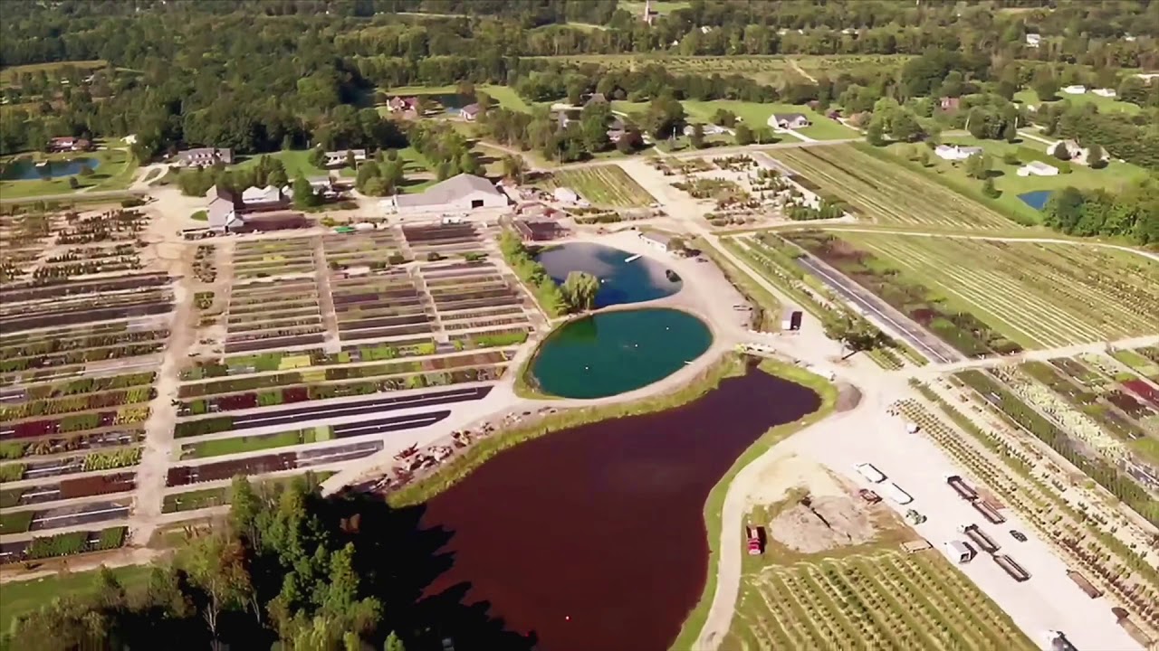 Davis Tree Farm &Nursery - YouTube