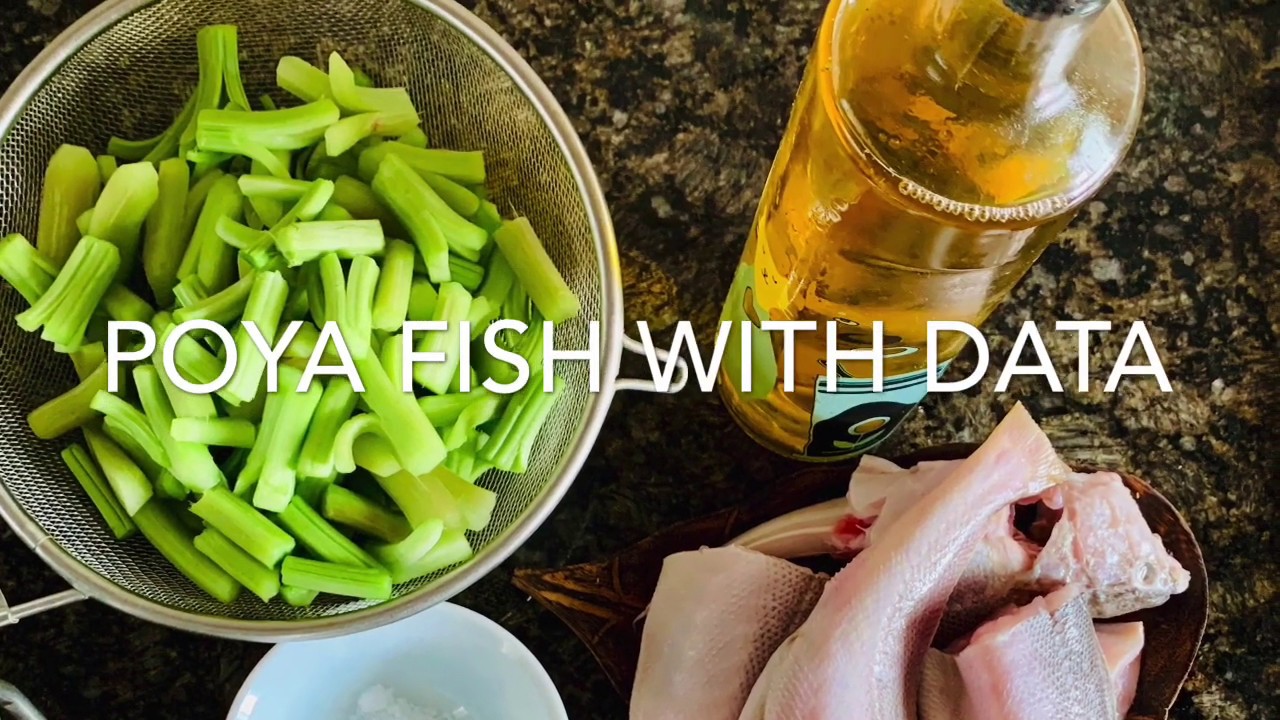 Poya Fish with data. - YouTube