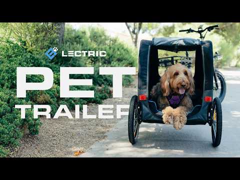 Lectric Pet Trailer | The Easiest Way to eBike with Your Dog (Big or Small!)