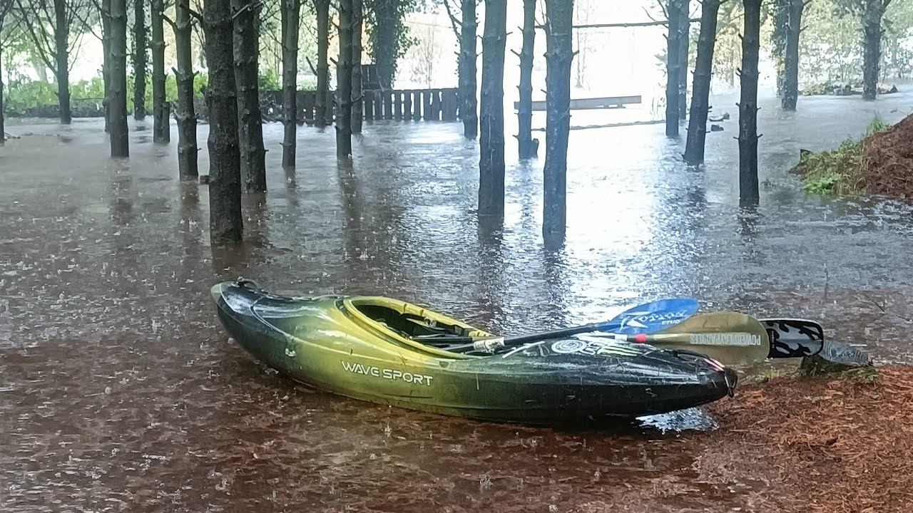Kayaking In A Flooded Forest With Bruno At Red Branch - YouTube