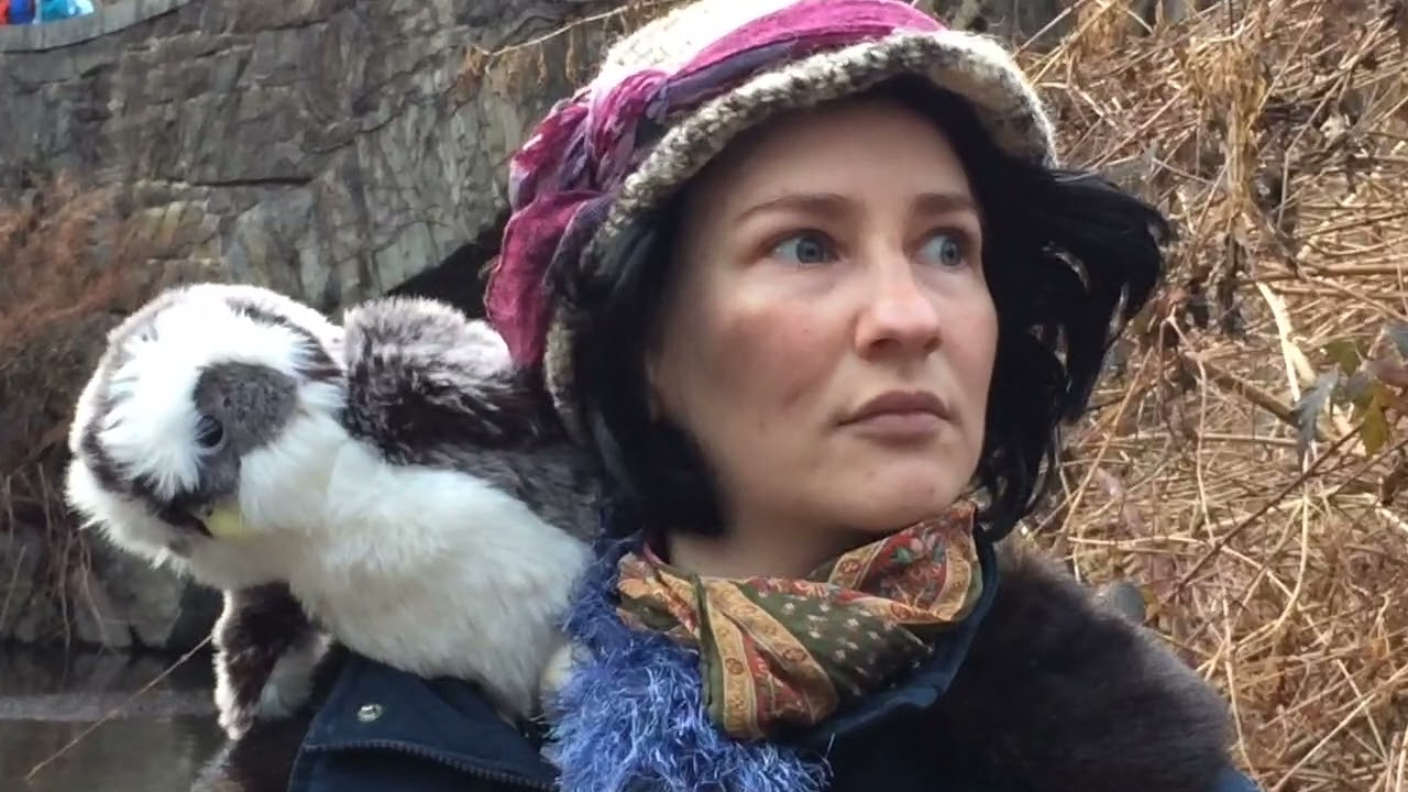 COMING SOON: Abode Solo 2 - YouTube