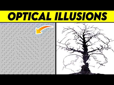 MIND-BLOWING OPTICAL ILLUSIONS || Video Will Make You Forget Your Name ...