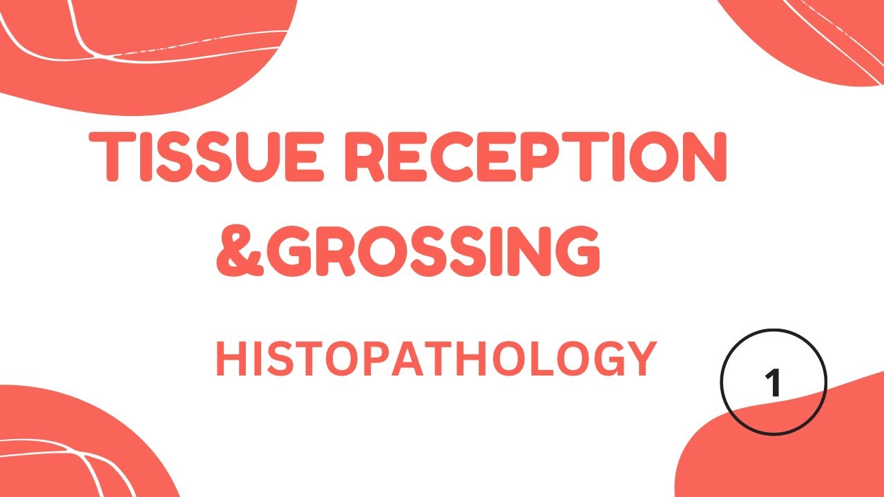 Histopathology part 2 | Tissue Receiption | Grossing - YouTube
