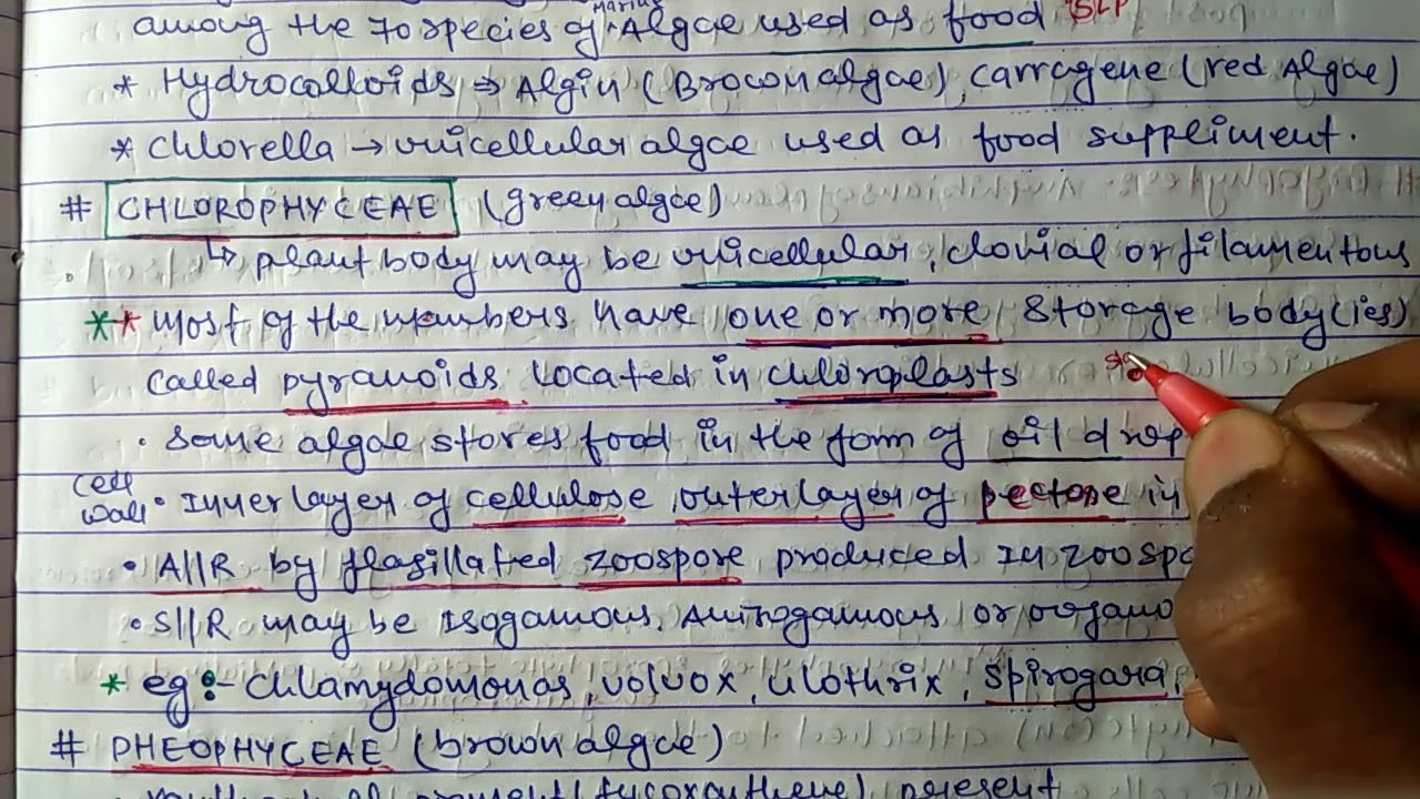 NCERT based short notes of plant kingdom 1 || Algae // red algae ...