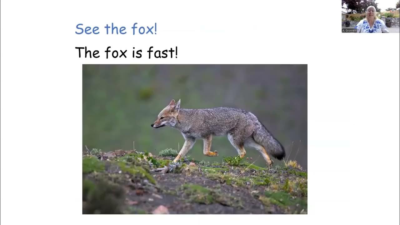 The Fast Fox Story Number 21 Learn to Read Series - YouTube