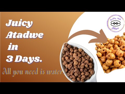 How to Get Juicy Tiger Nuts from Dried Nuts. Juicy Atadwe Just in 3 ...