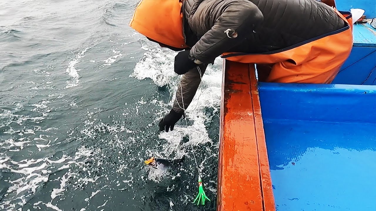 PESCA al Currican de BONITOS con diversión y grandes Capturas ...