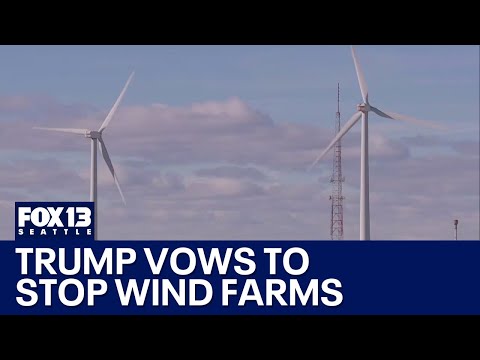 Is Trump For Real About Wind Energy