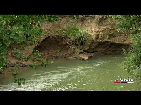 U FOKUSU - Dr Dušan Mijović, tema biodiverzitet, projekat „Jadar“ - YouTube