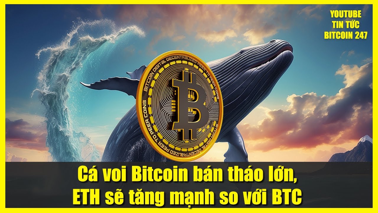 Cá voi Bitcoin bán tháo lớn, ETH sẽ tăng mạnh so với BTC - YouTube