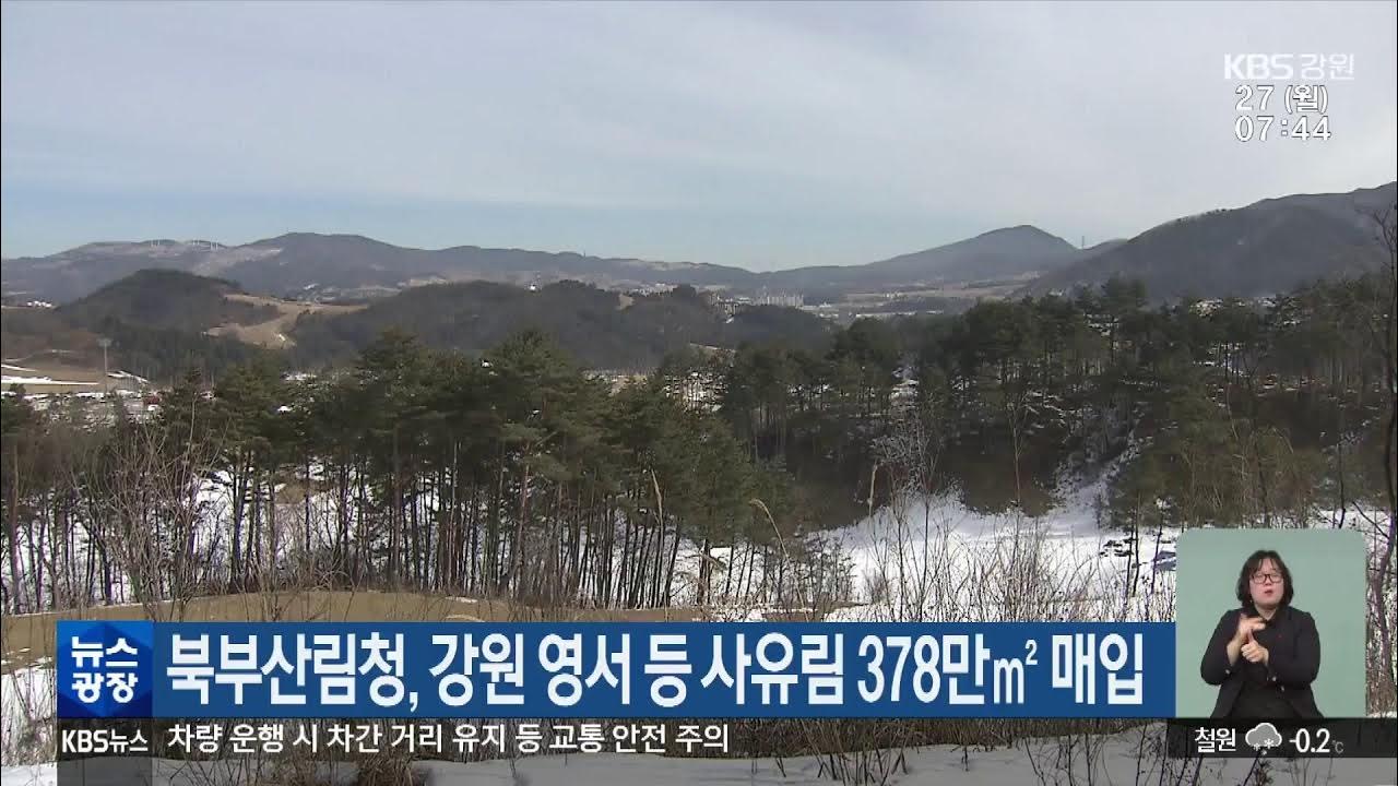 2025.1.27 KBS강원 뉴스광장 - YouTube