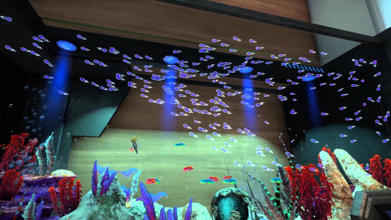 Star Citizen Fish Tank - YouTube
