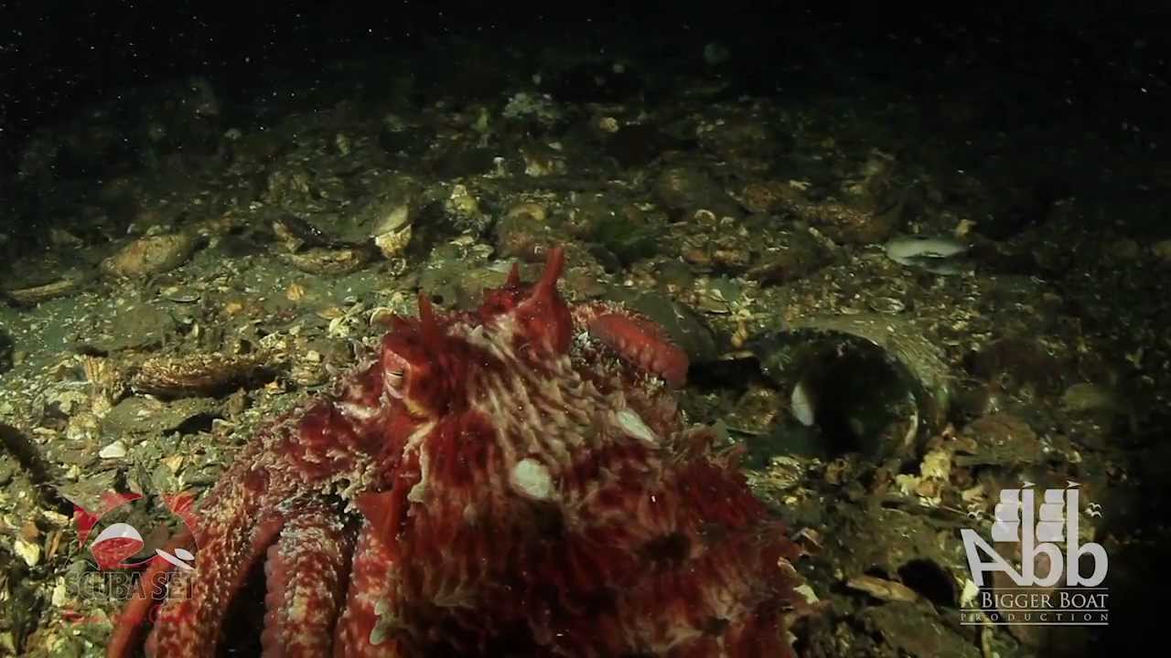 Scuba Set PNW Diving - YouTube