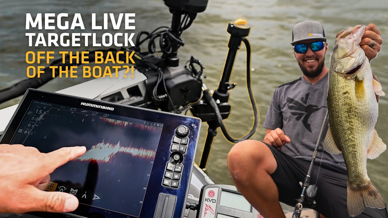 MEGA Live TargetLock + MEGA 360 (Back of Boat View) - YouTube