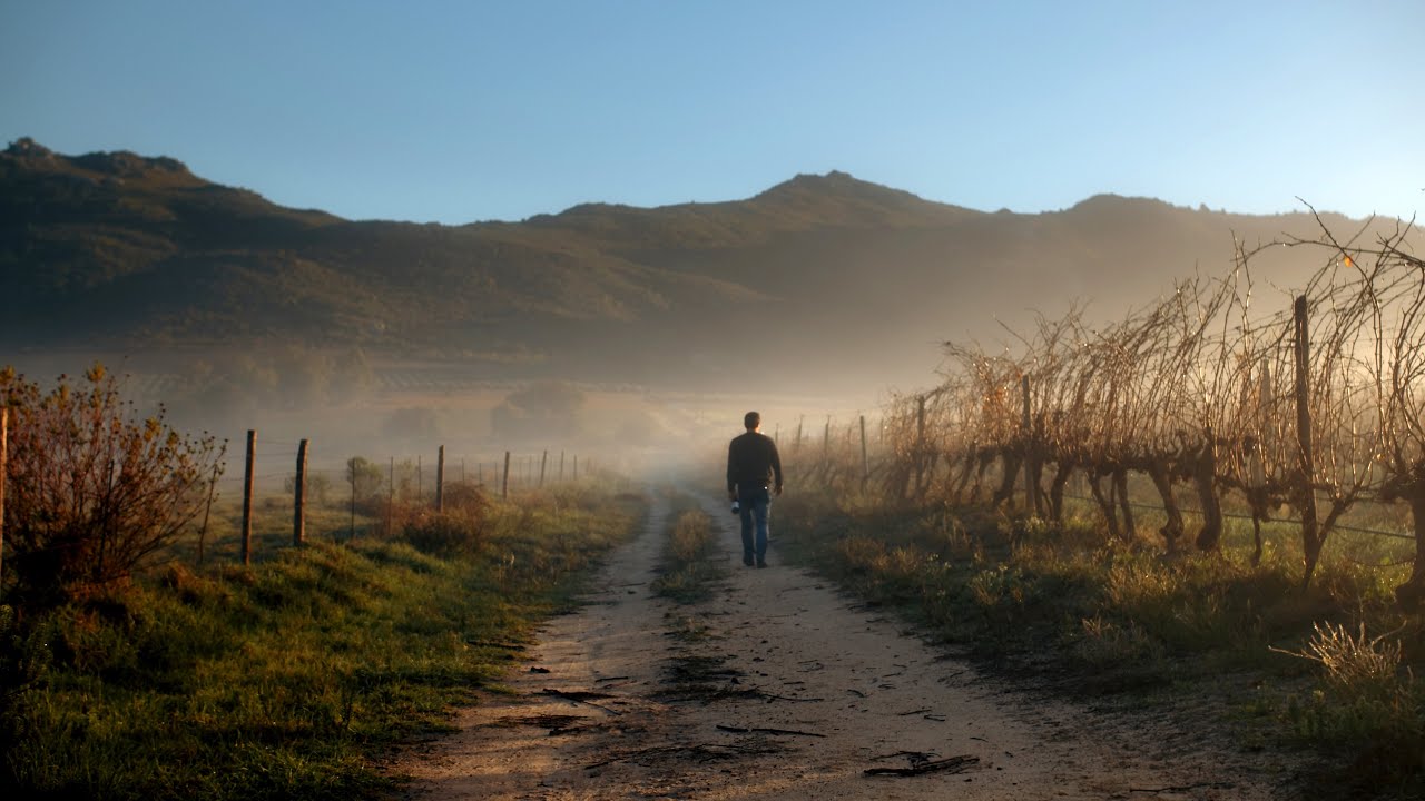 Pilgrim Wines - brand film - YouTube