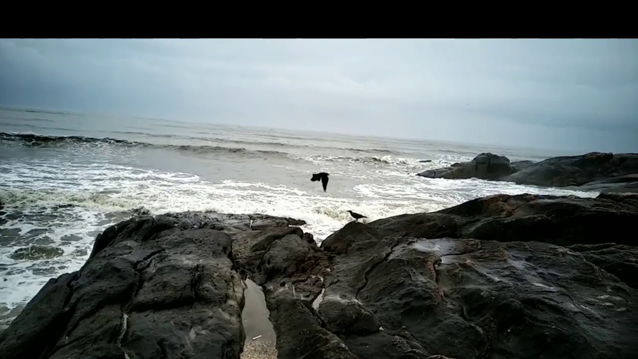 maimi sea beatch - YouTube